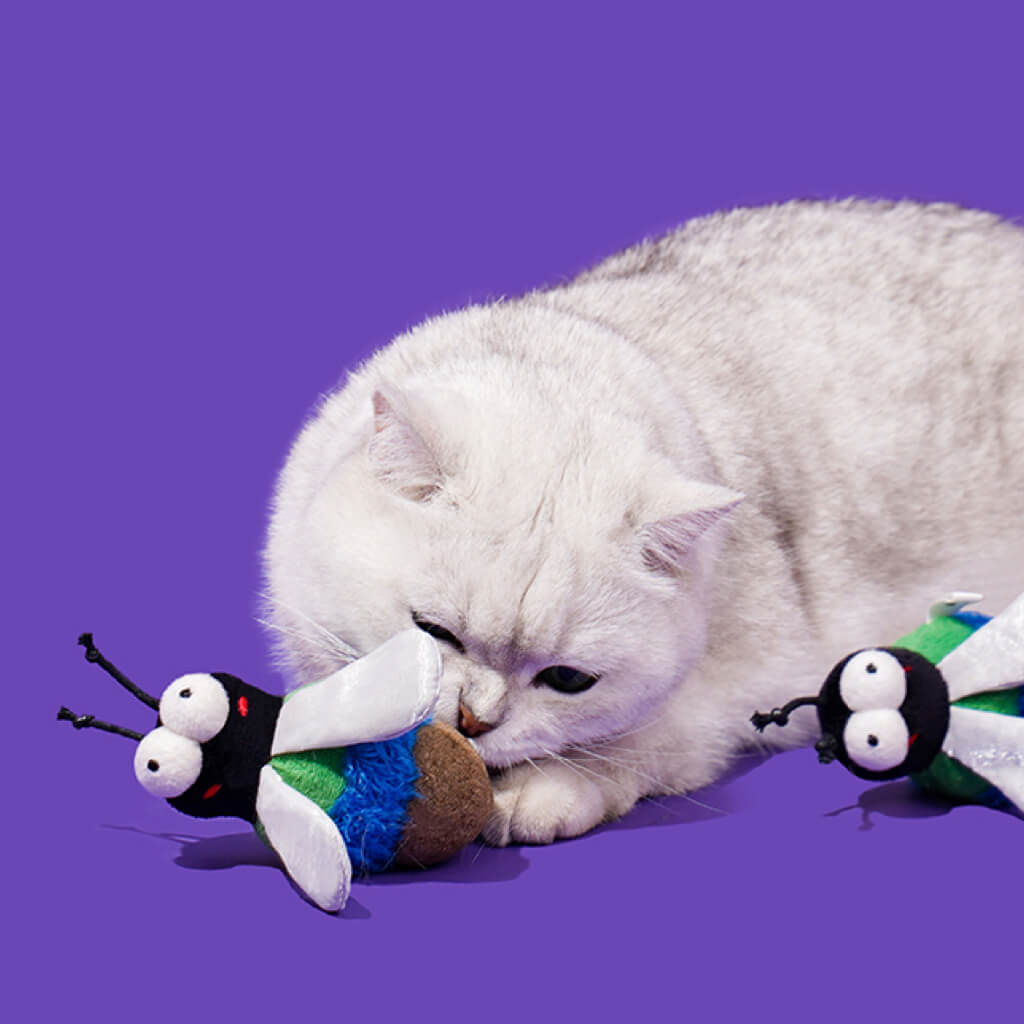 Catnip Plush Fly Toy – Calming & Stimulating Play for Indoor Cats – Pewos