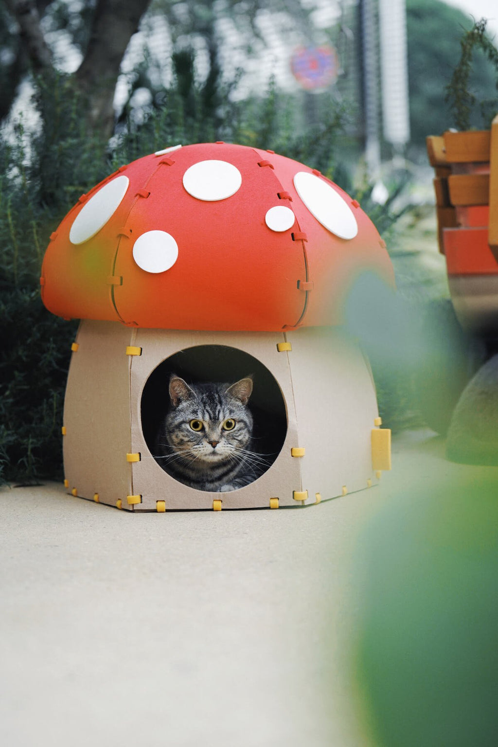 Mushroom Cat Cave, Felt Cat Den – Pewos